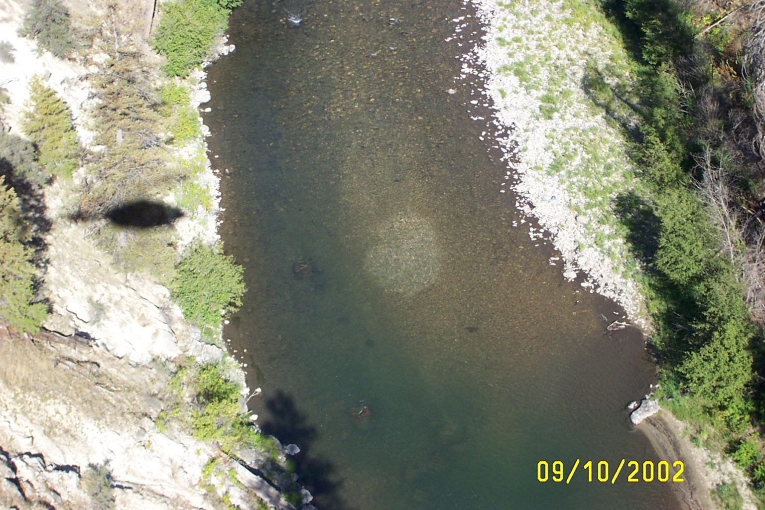 Climate, Fire Regime, Geomorphology, and Conspecifics Influence the ...